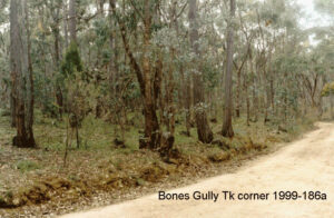 Projects – Castlemaine Field Naturalists Club