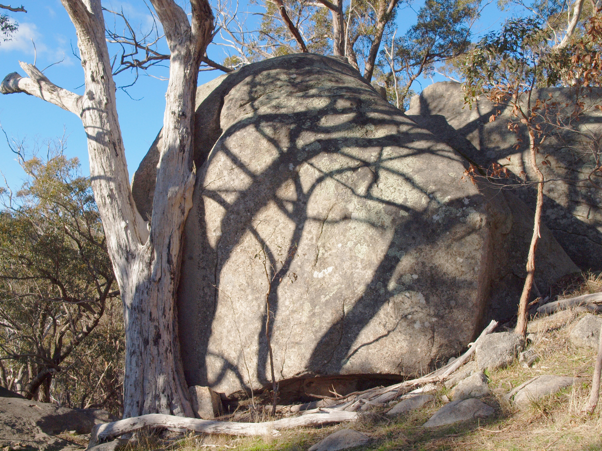 Geological Features of Castlemaine – Castlemaine Field Naturalists Club